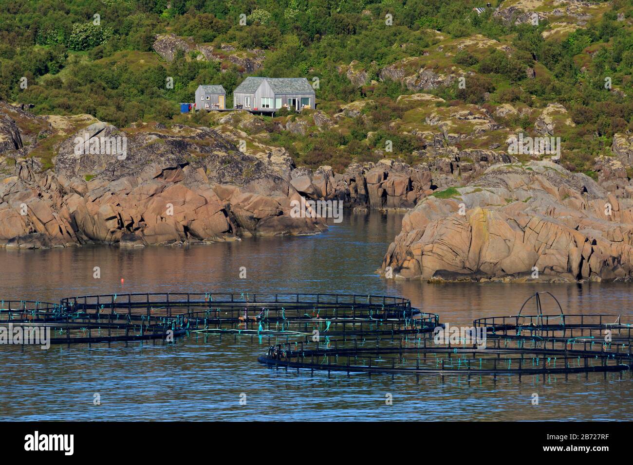 Fish Farm, Mortsund Village, Lofoten Islands, Nordland County, Norway ...