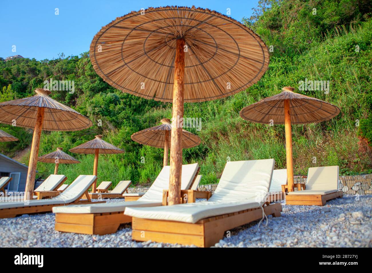 Subtropical waterside environment hi-res stock photography and images ...