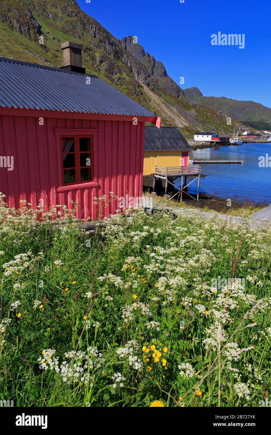 Fishing huts (Rorbuer), Ballstad Fishing Village, Lofoten Islands ...