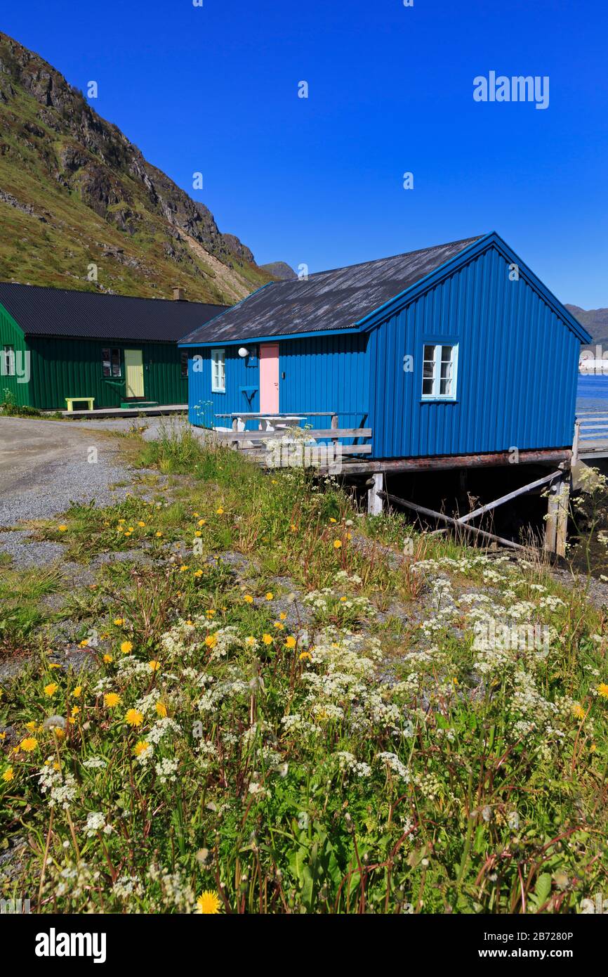 Fishing huts (Rorbuer), Ballstad Fishing Village, Lofoten Islands ...