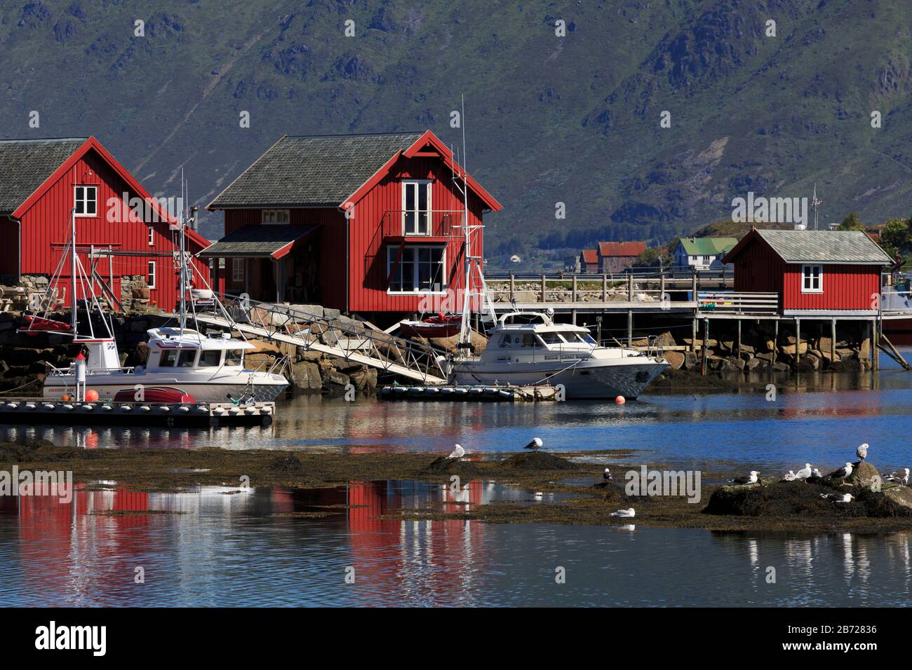 Boathouses, Ballstad Fishing Village, Lofoten Islands, Nordland County ...