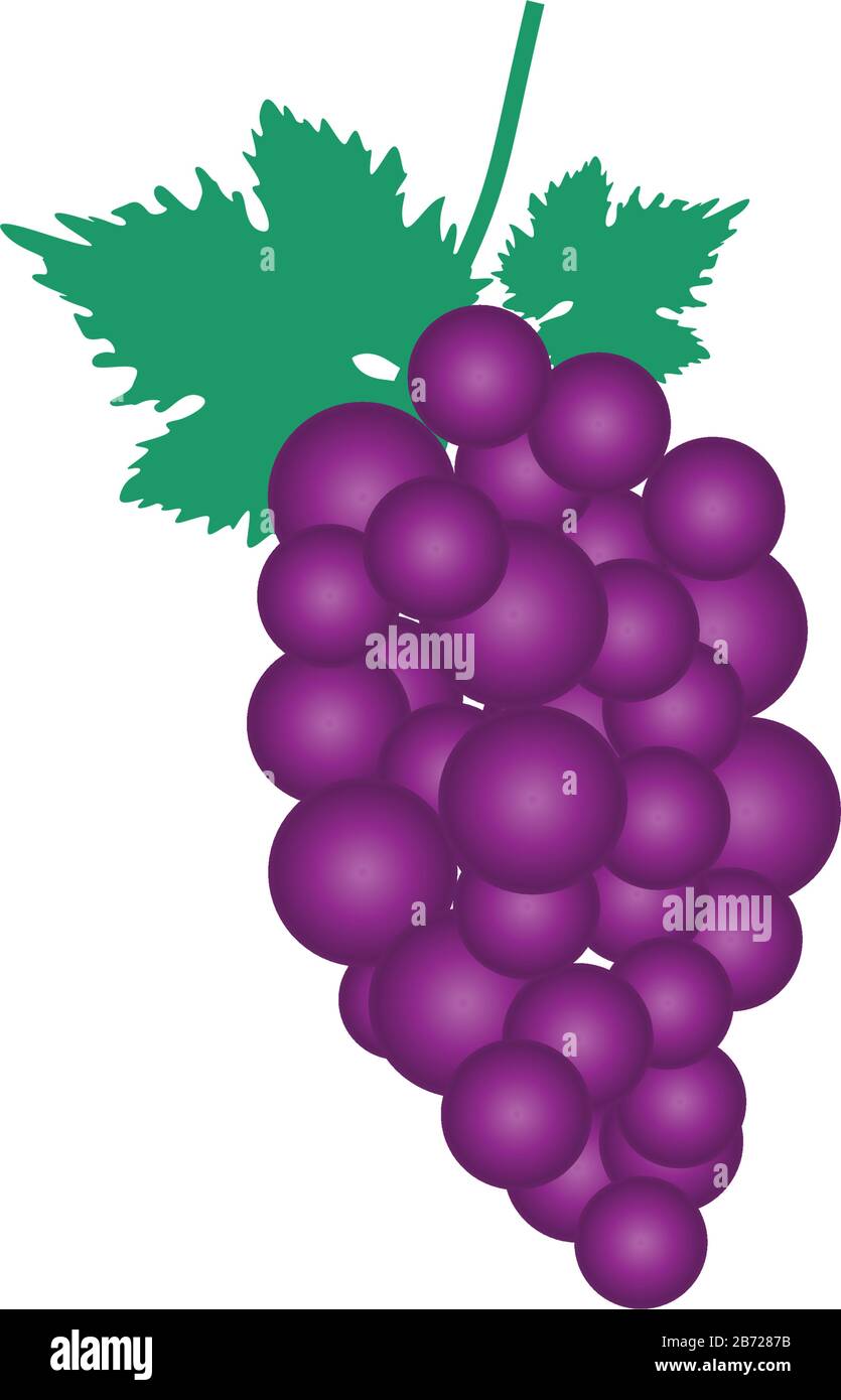 Grapes Template