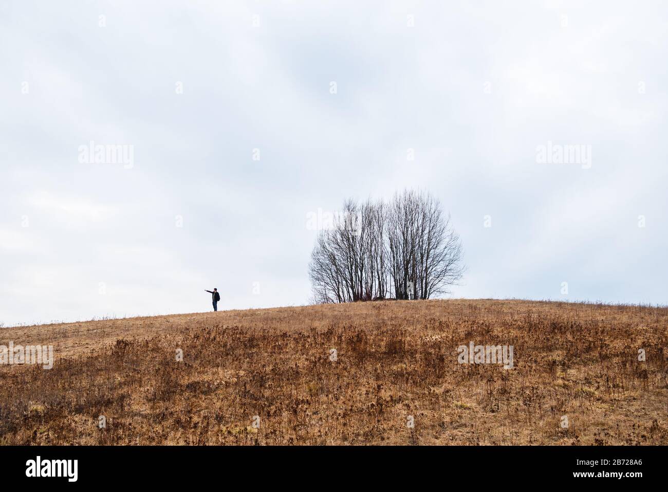 A lonely man stands on a mountain, a lonely tree Stock Photo - Alamy