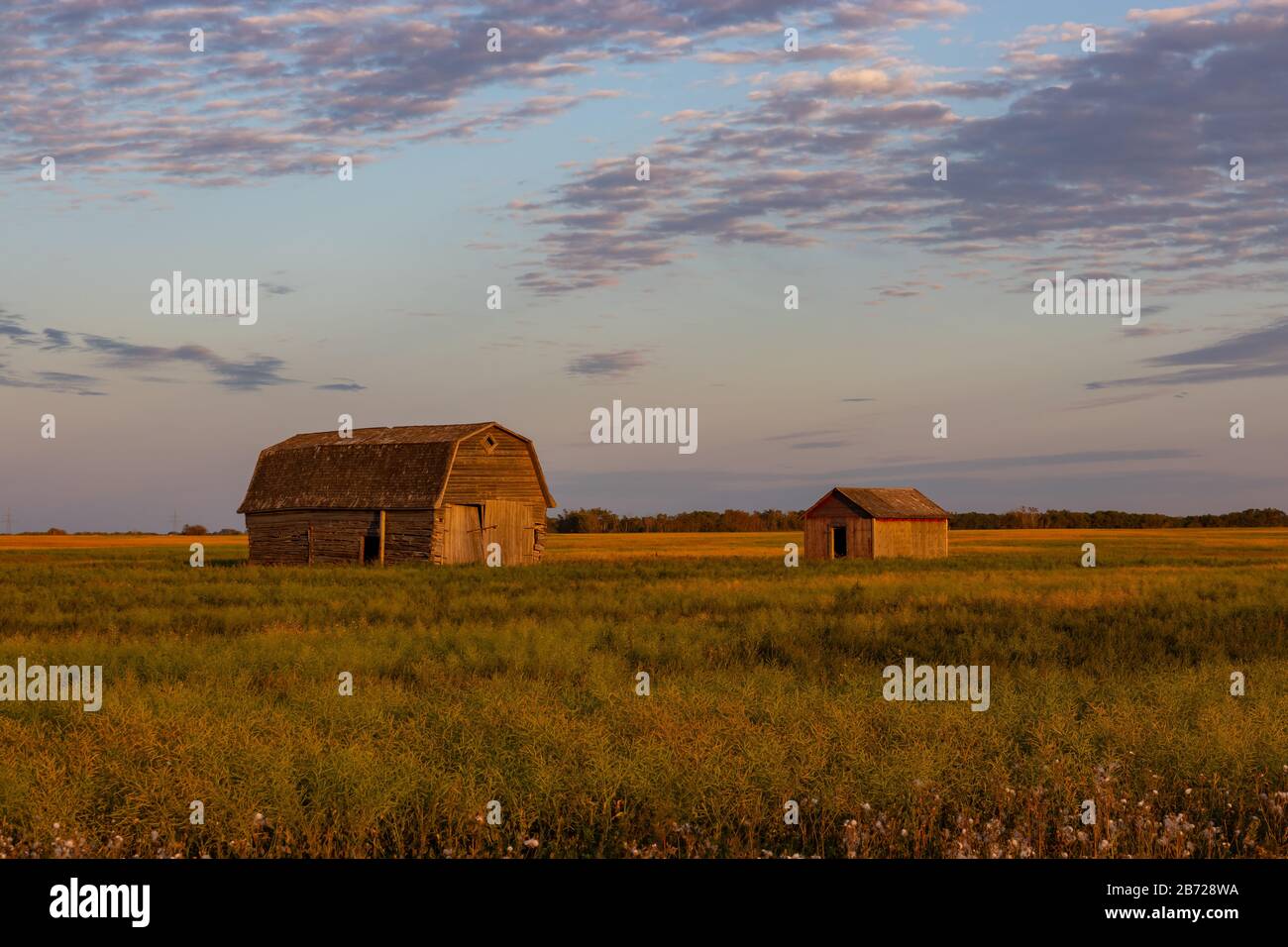 Old abandoned farm buildings that have been forgotten to time. These ...
