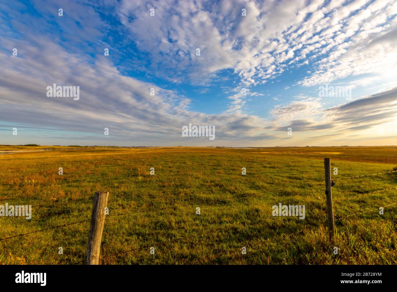 Wide open prairies near Saskatoon Saskatchewan Canada Stock Photo - Alamy
