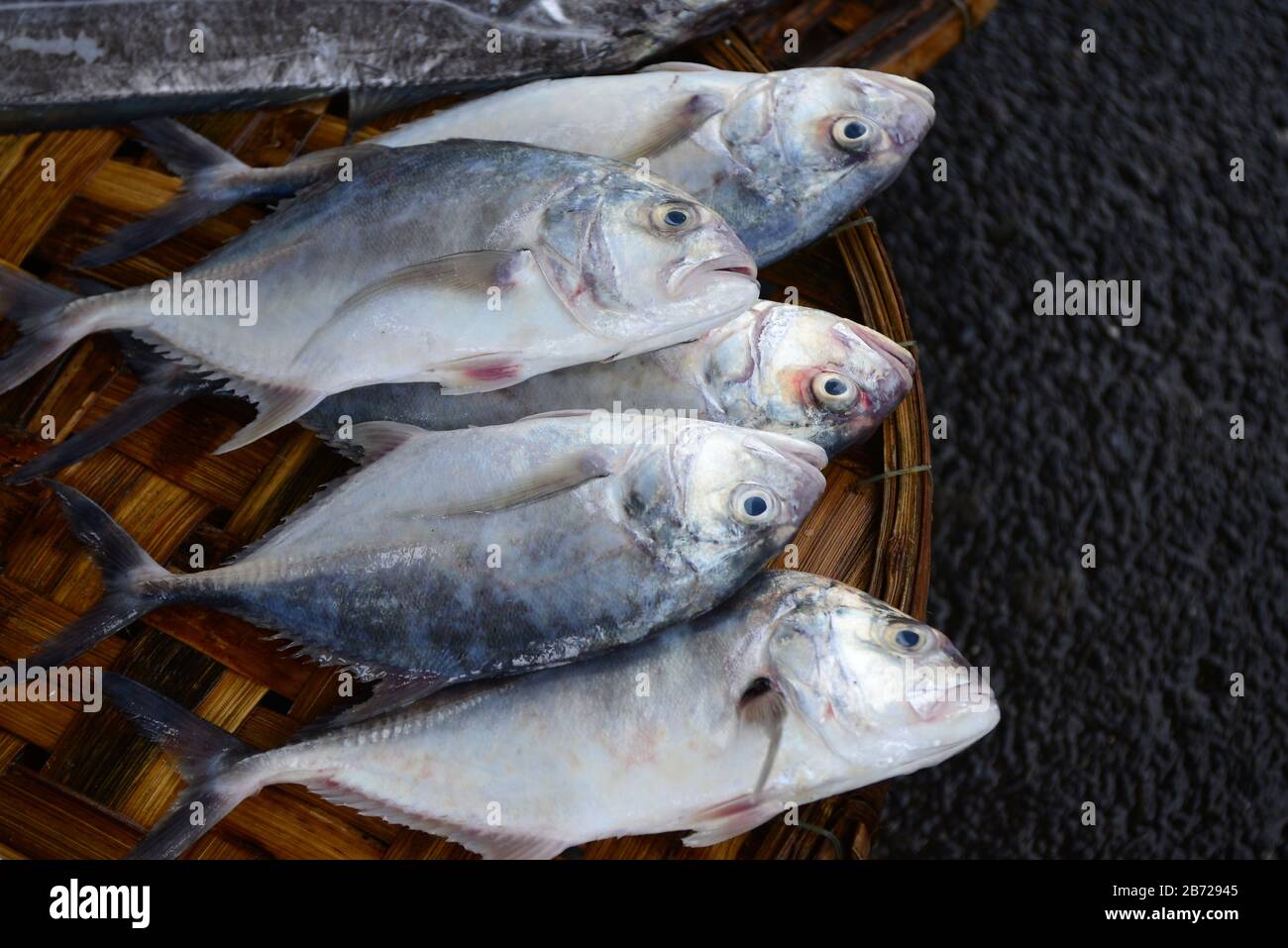 Red croaker hi-res stock photography and images - Alamy