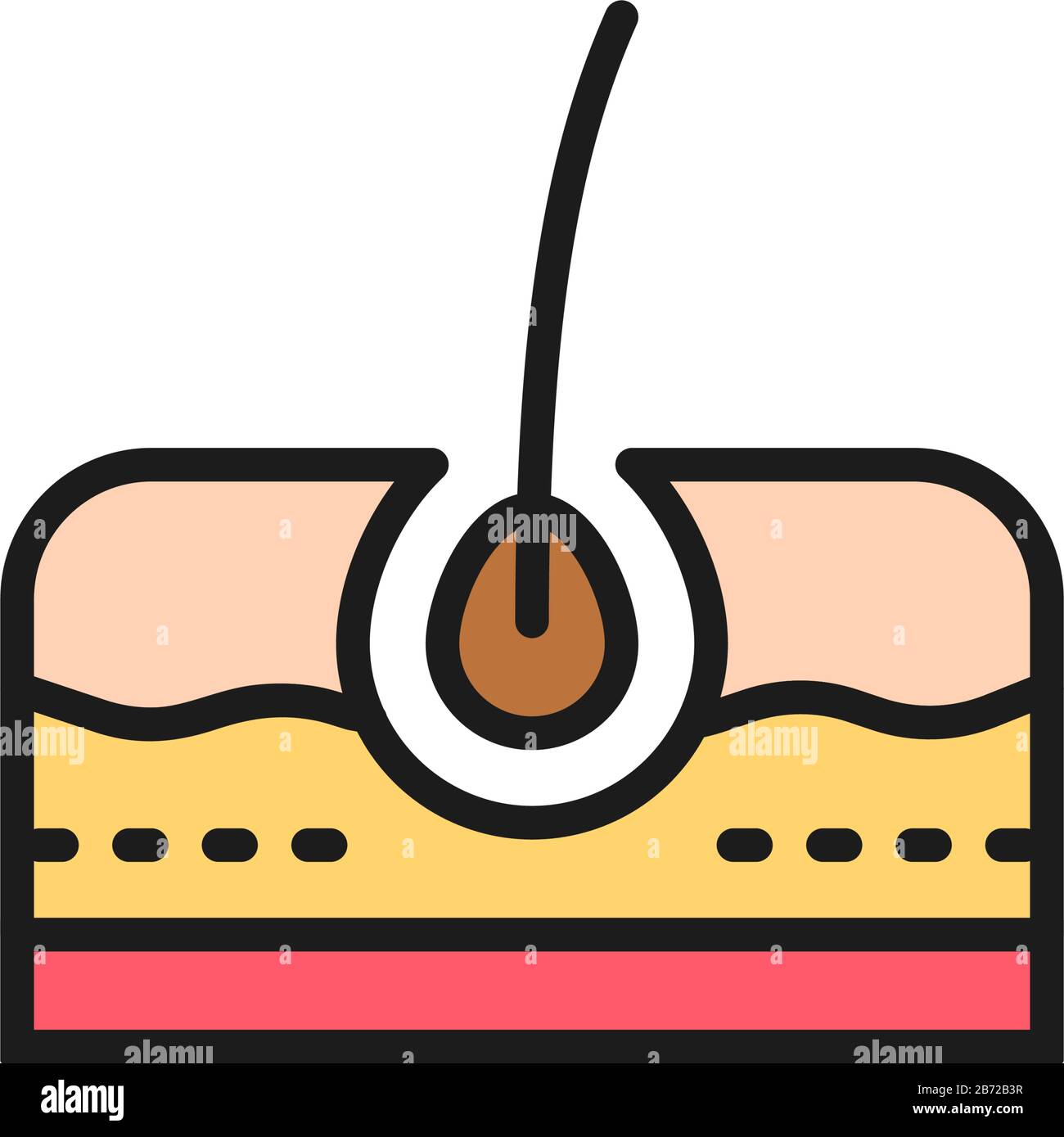 Layers of skin drawing hi-res stock photography and images - Alamy