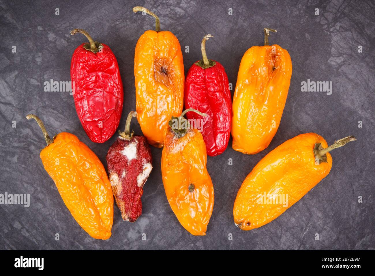 Old wrinkled peppers with mold, concept of unhealthy and disgusting ...