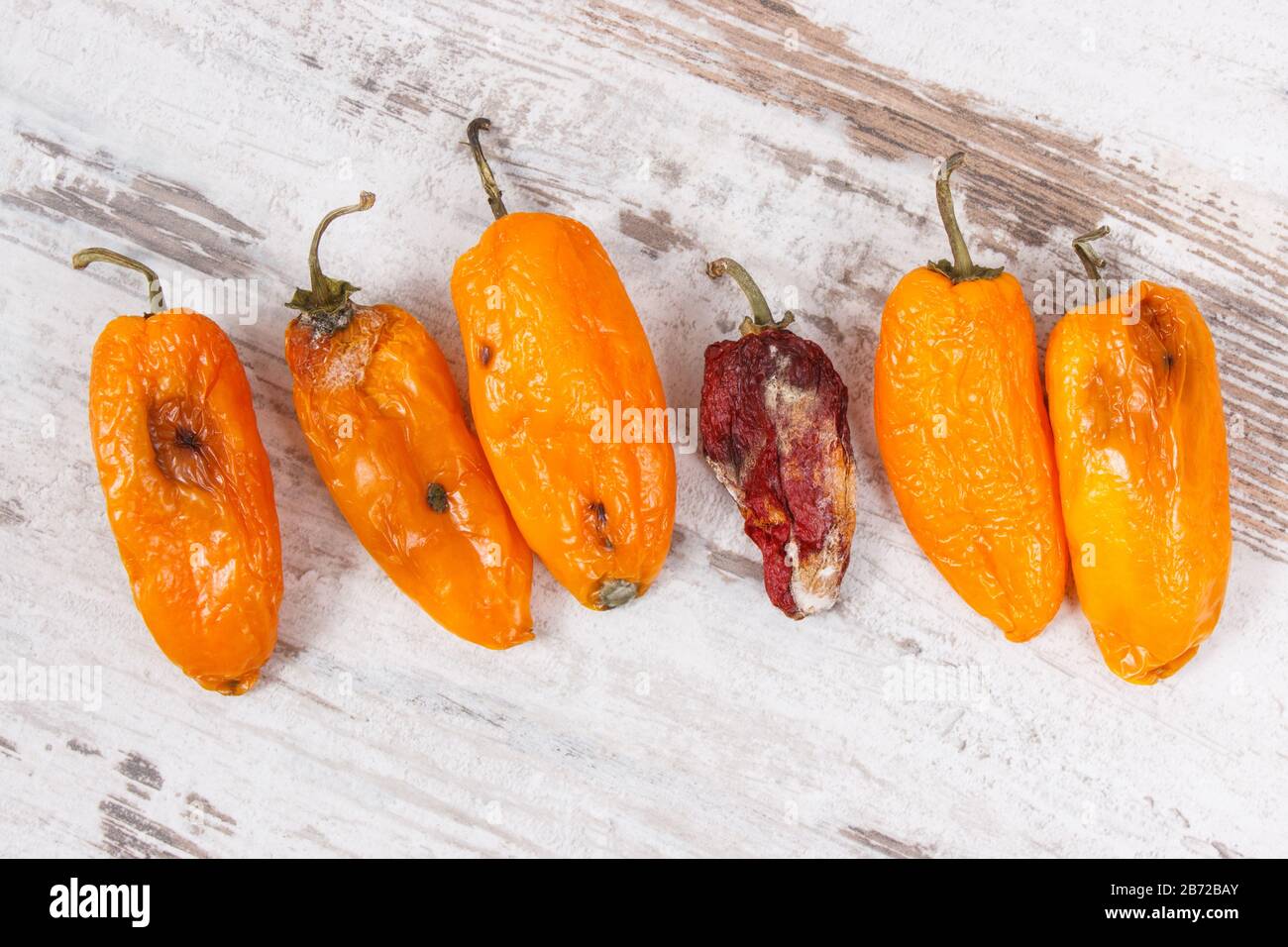 Old, moldy and wrinkled peppers. Concept of unhealthy, decompose ...