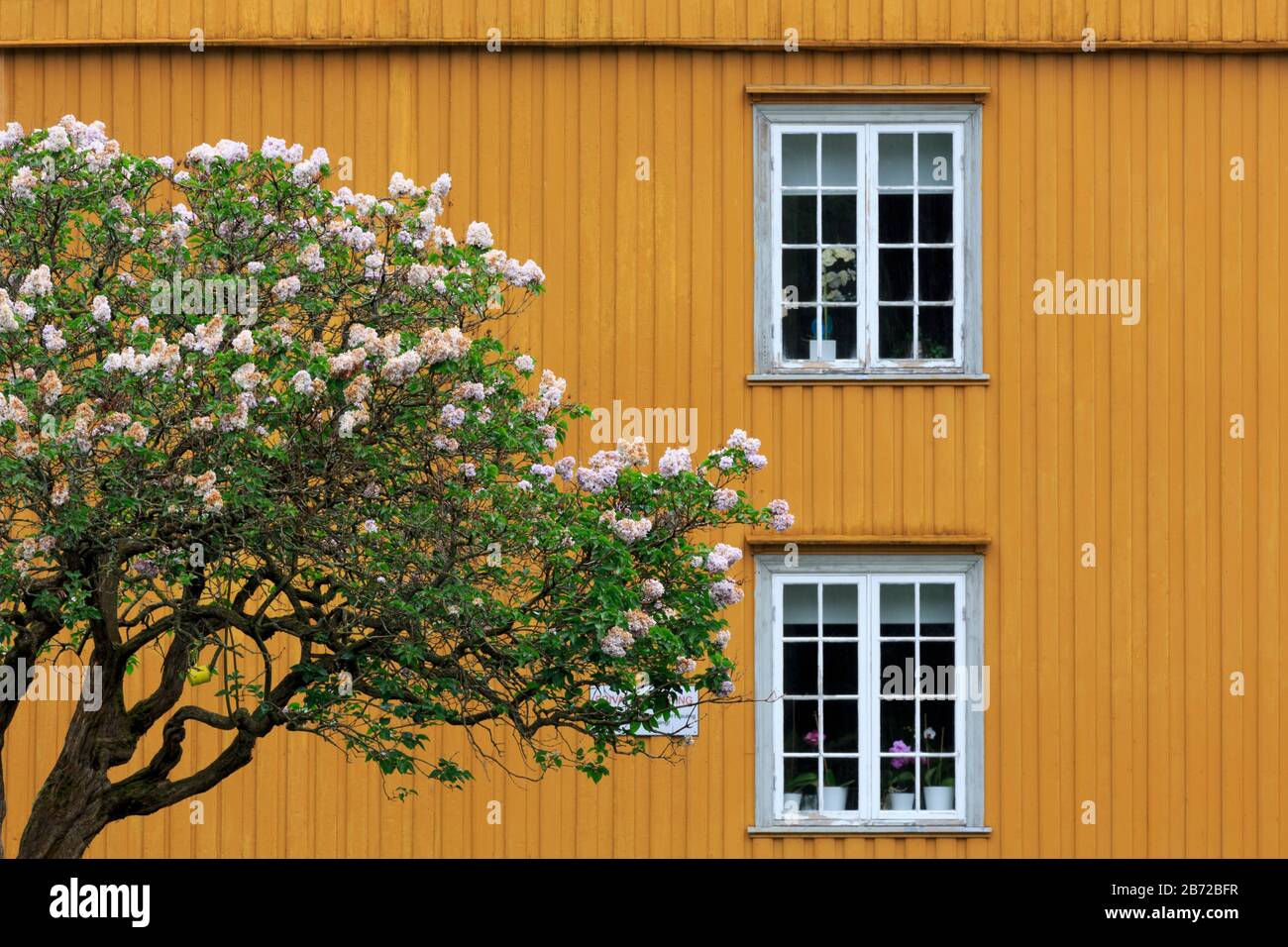 Wooden building in Trondheim City, Trondelag County, Norway Stock Photo ...