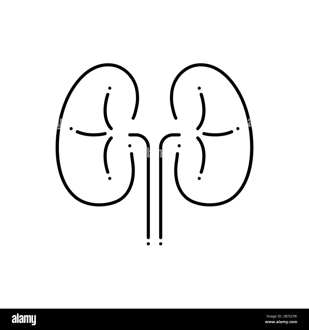 Kidneys icon Stock Vector Images - Alamy