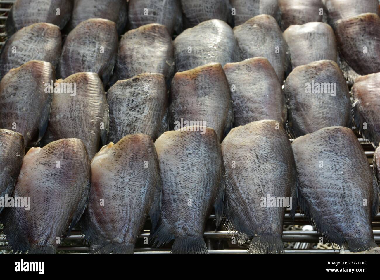 Sun dried gourami fish, Thai Food Stock Photo - Alamy