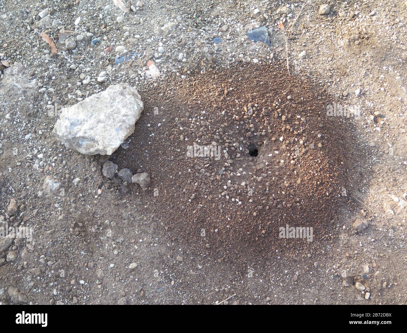 Holes and mound of soil hi-res stock photography and images - Alamy