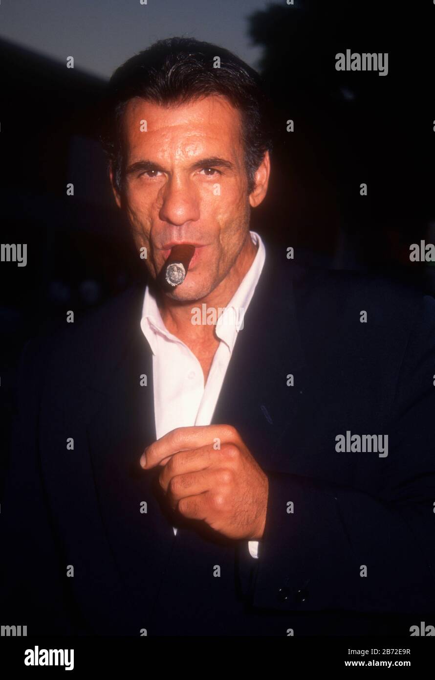 Beverly Hills, California, USA 13th July 1995 Actor Robert Davi attends ...