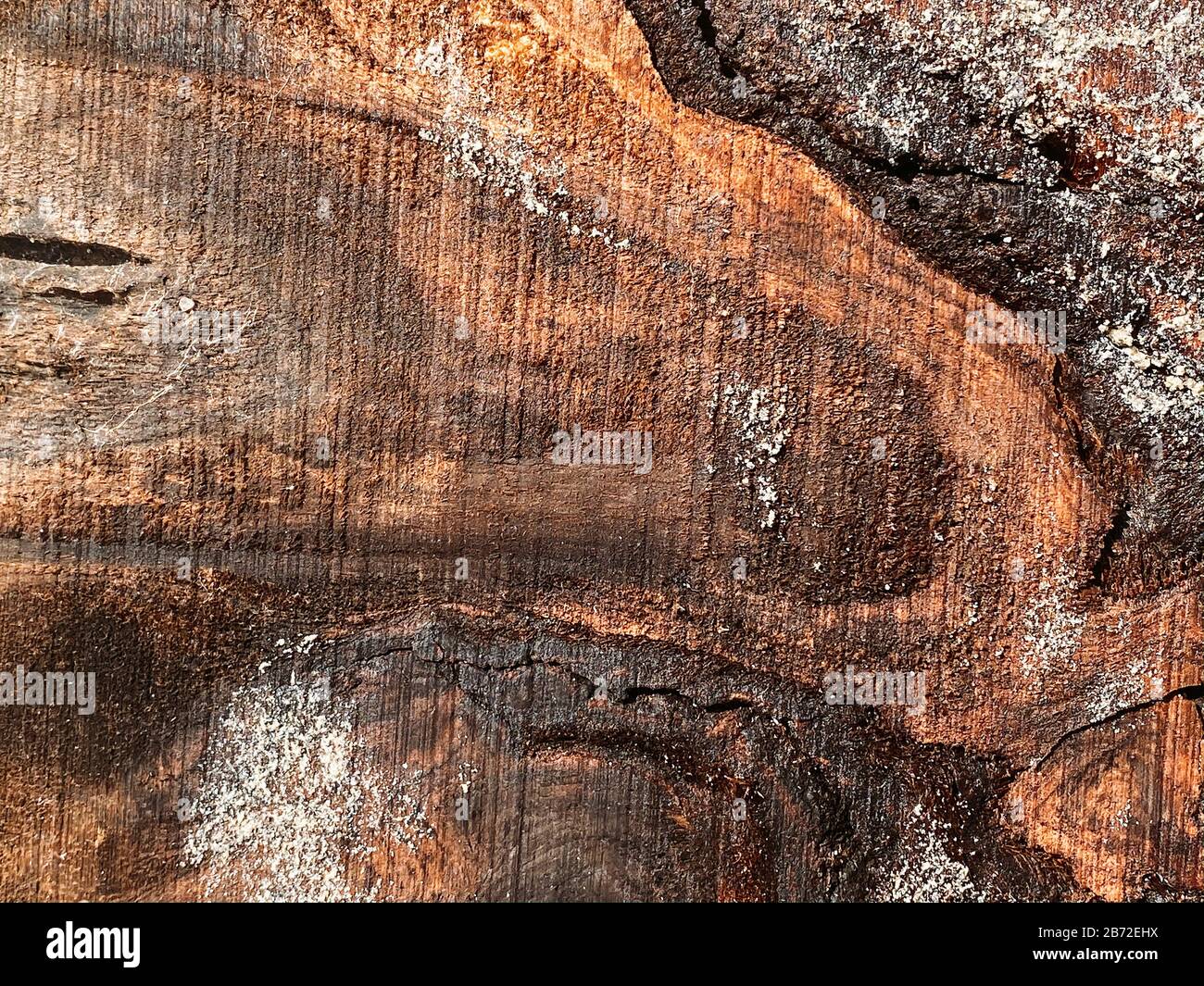 Natural wood, wood cut, aged wood, cracks from time and weather. Brown ...