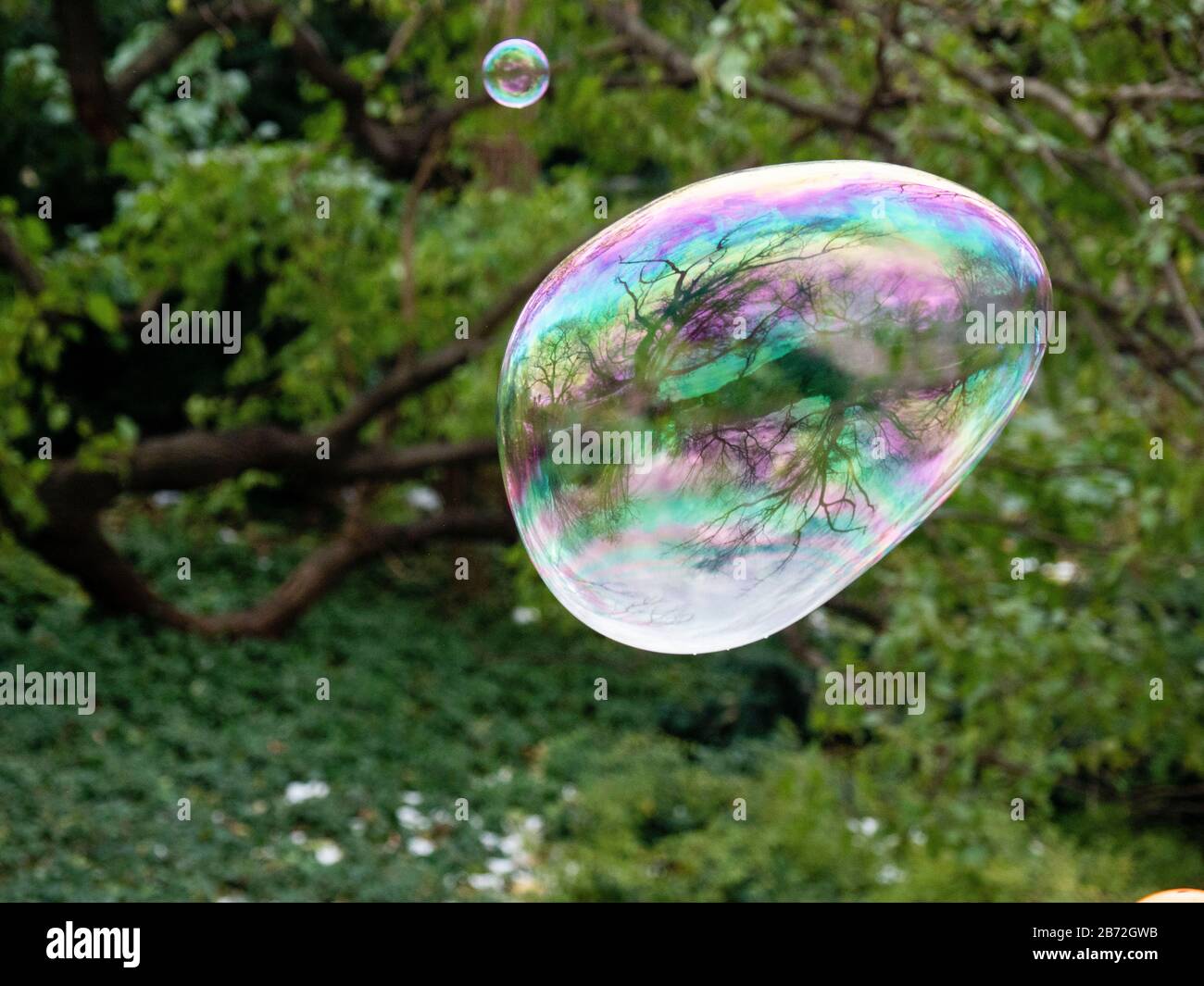 Bubble and Baby Bubble Stock Photo - Alamy