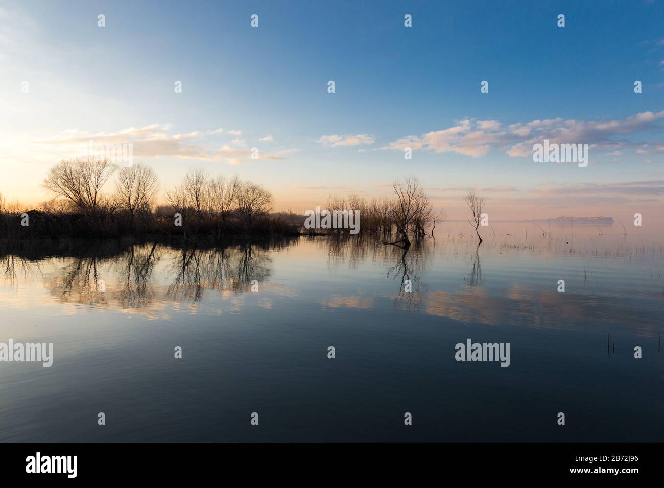 A symmetric photo of a lake, with trees and sky reflections on water at ...