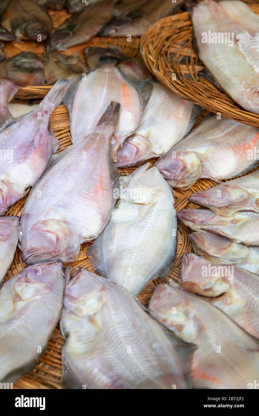 South korea korean animal hi-res stock photography and images - Alamy
