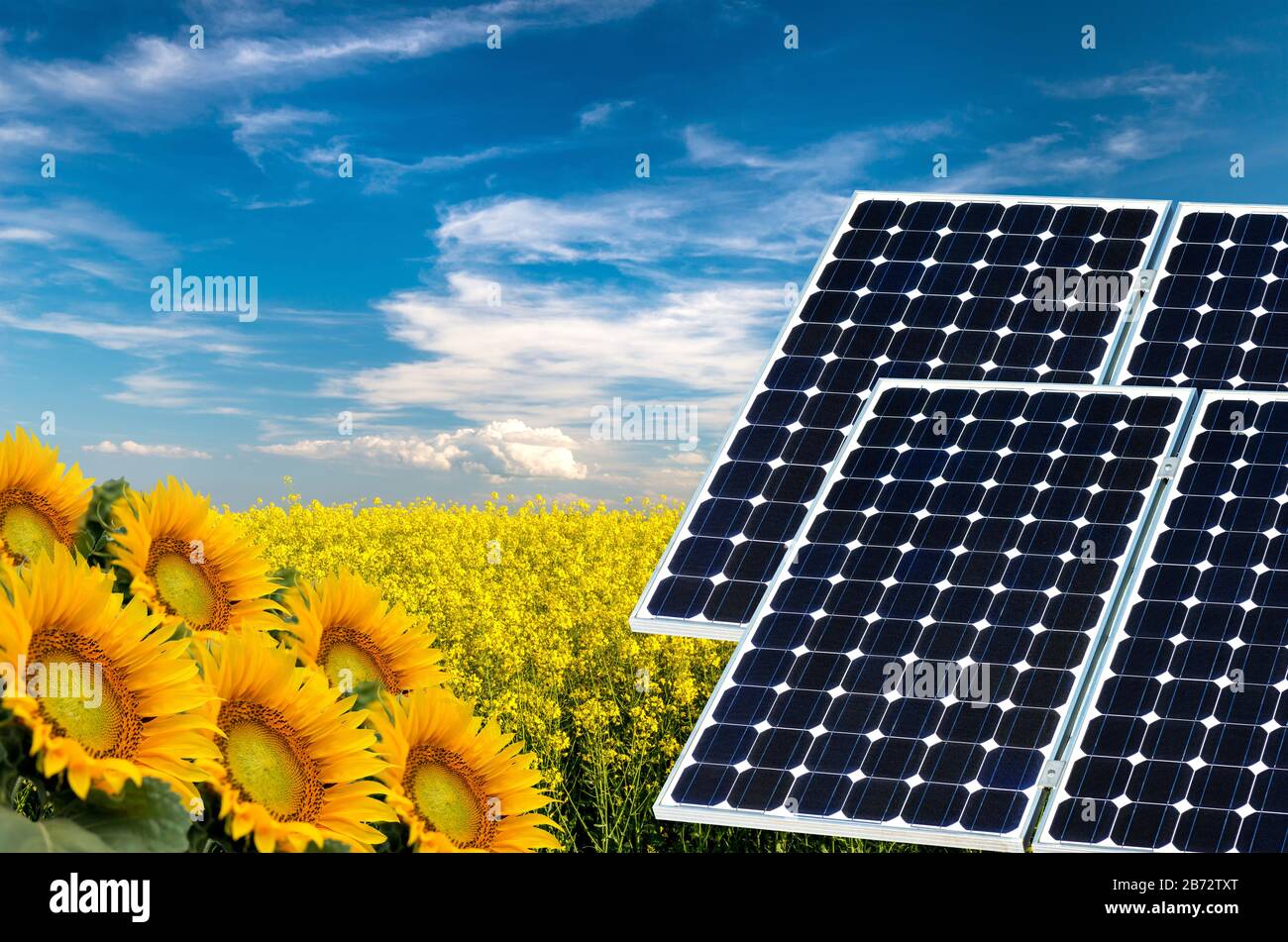 Photo collage of solar panels against the crops background - conceptual ...