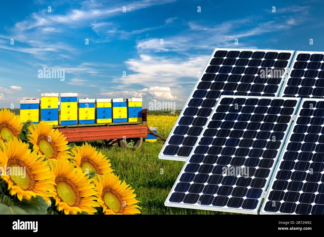 Photo collage of solar panels against the crops background - concept of ...