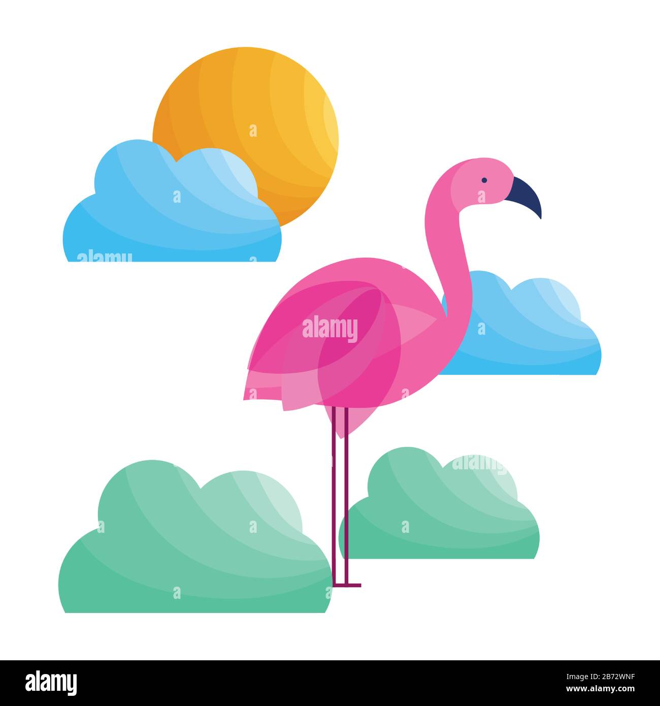 flamingo bushes clouds sun tropical bird feather vector illustration ...