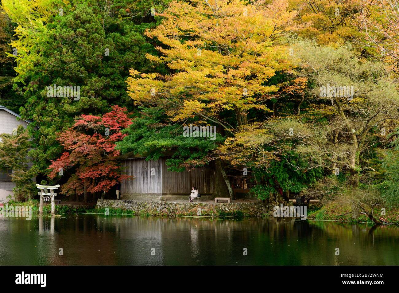 Kinrin lake in autumn at Yufuin, Japan Stock Photo - Alamy
