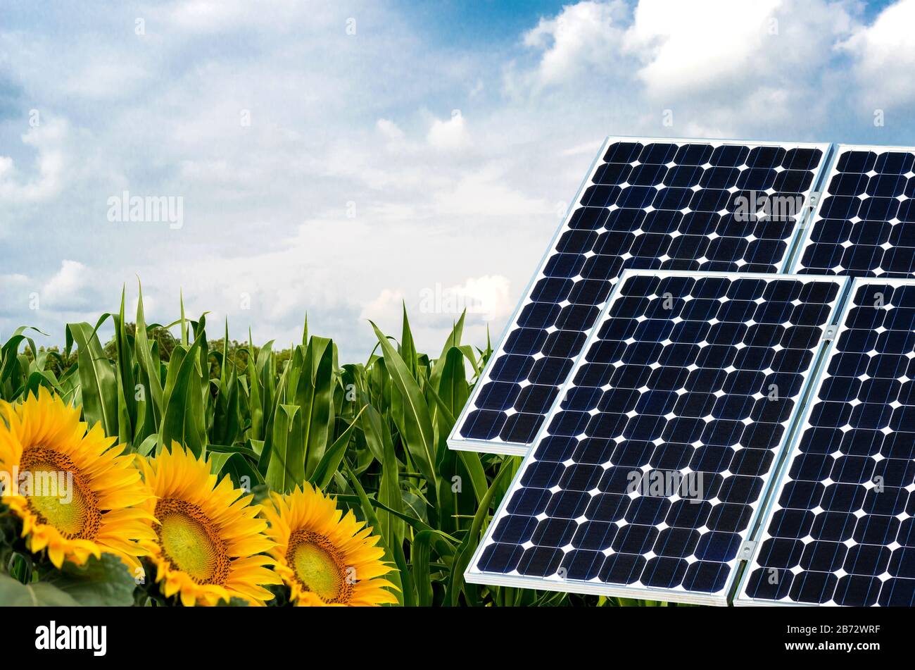 Photo collage of solar panels against the crops background - conceptual ...