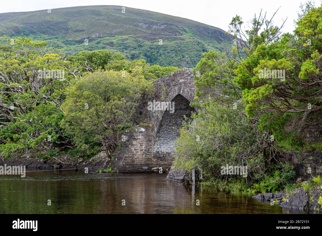 Bridge in Killarney National Park in Ireland Stock Photo - Alamy