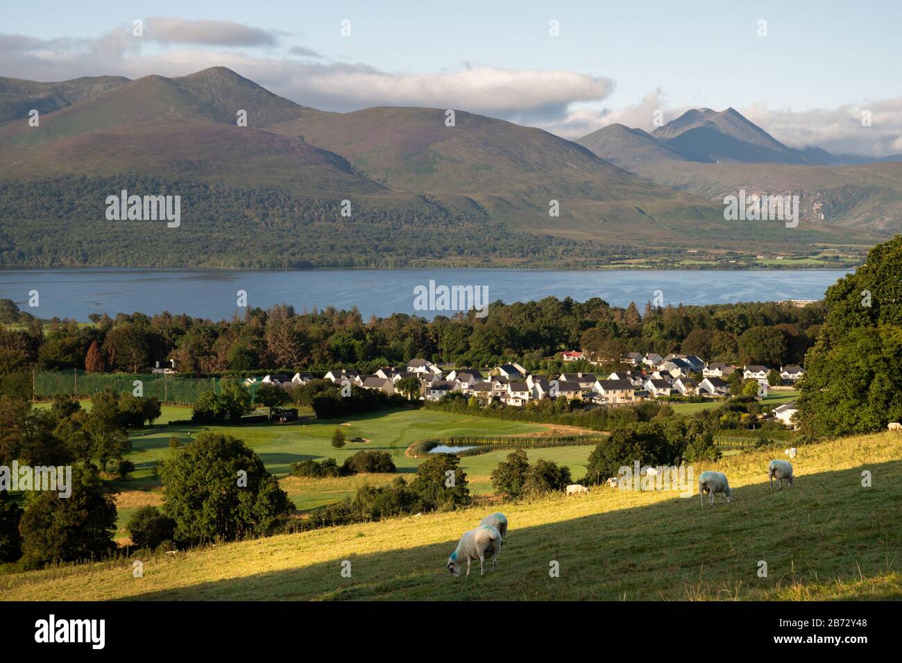 Lake Lough Leane in Killarney National Park in Ireland Stock Photo - Alamy