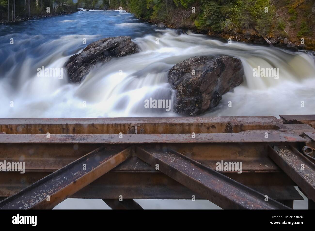 Evergreen trees in banff national hi-res stock photography and images ...