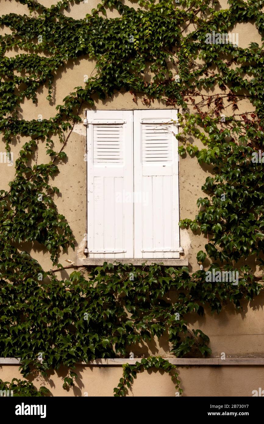 Creeping shutter hi-res stock photography and images - Alamy