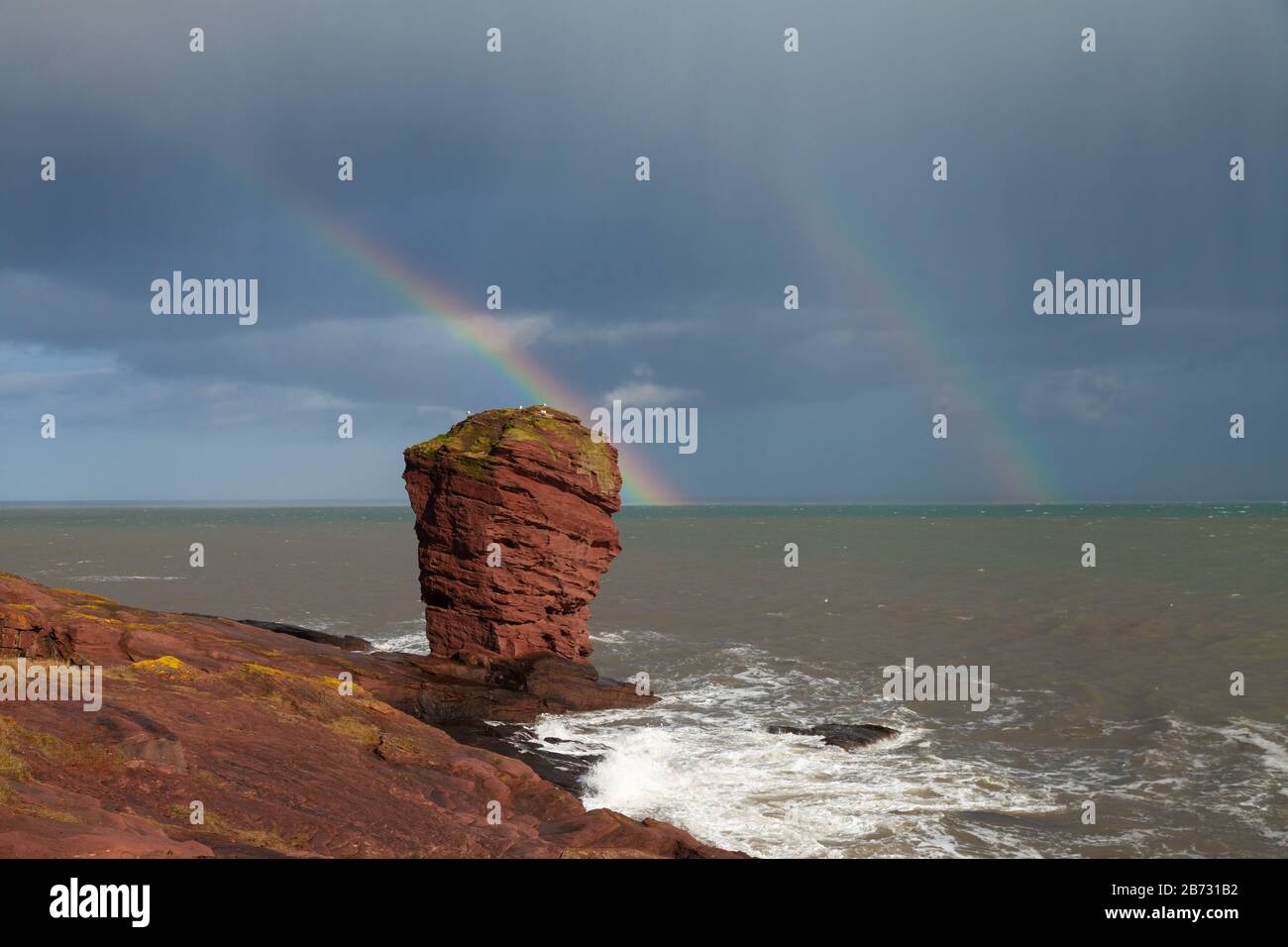 The Deil's Heid (Devils Head) red sandstone sea stack, Seaton Cliffs ...