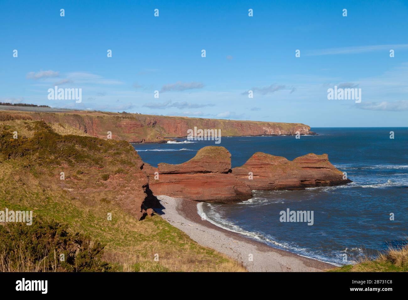 The red sandstone cliffs along the Angus Coastal Path near Arbroath ...