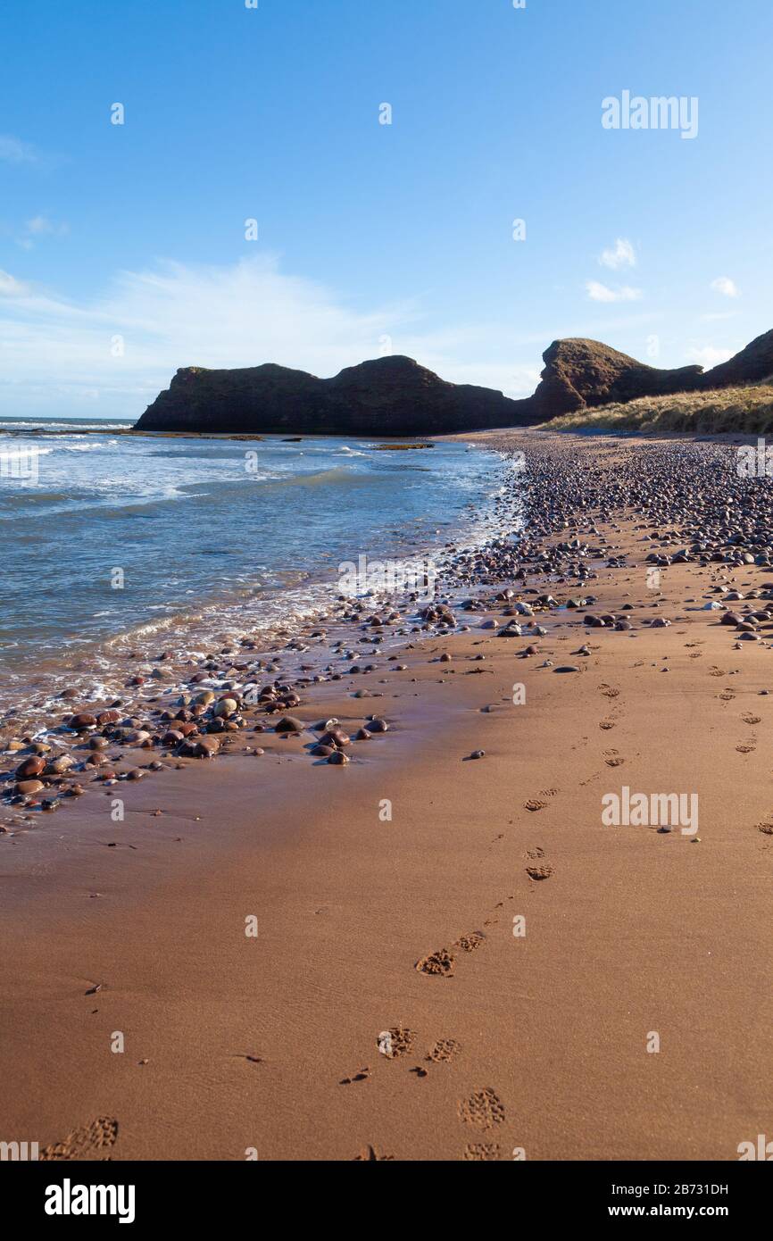 Angus coastal footpath hi-res stock photography and images - Alamy