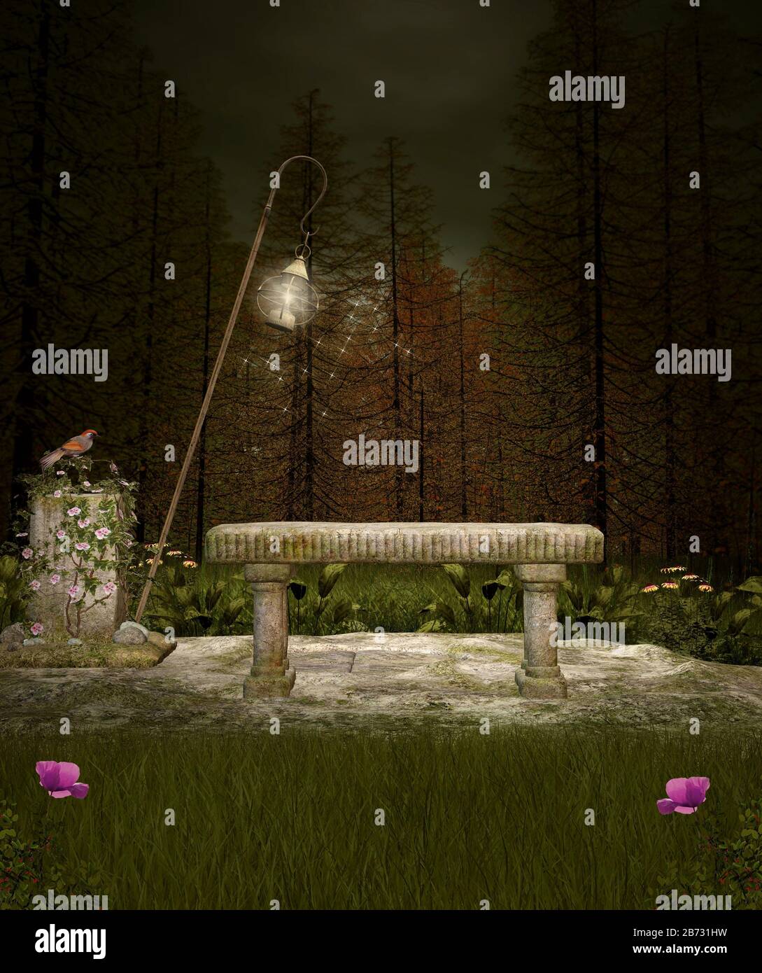 Enchanted bench in the dark forest Stock Photo - Alamy