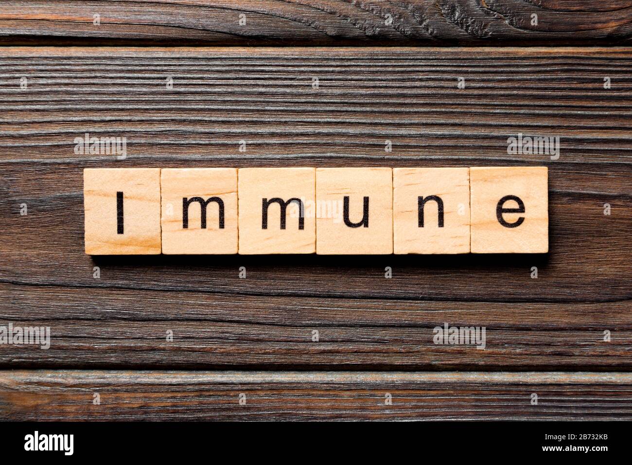 Immune word written on wood block. Immune text on wooden table for your ...