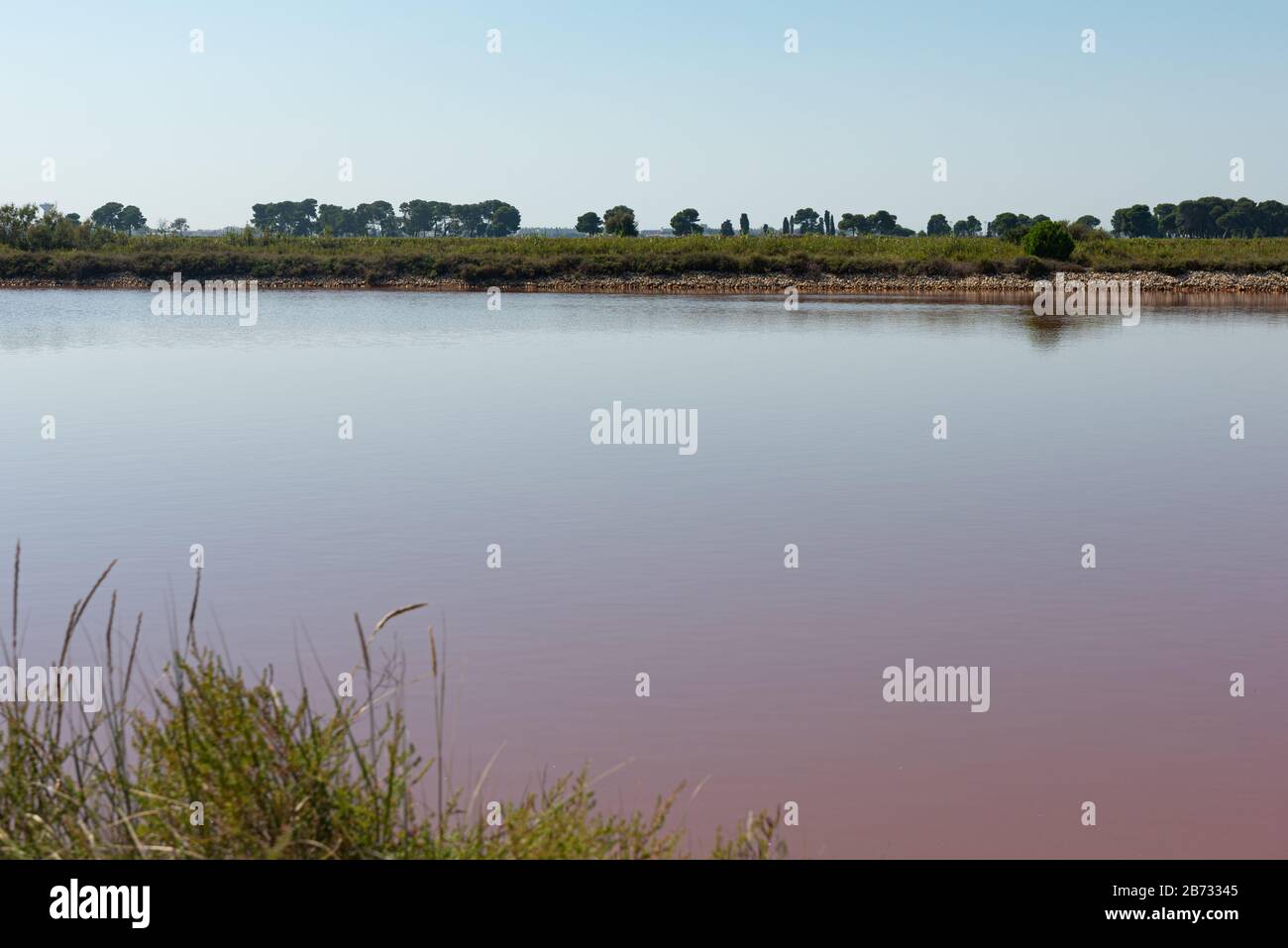 The amazing pink water in Aigues Mortes Salt Marsh, Camargue, France ...