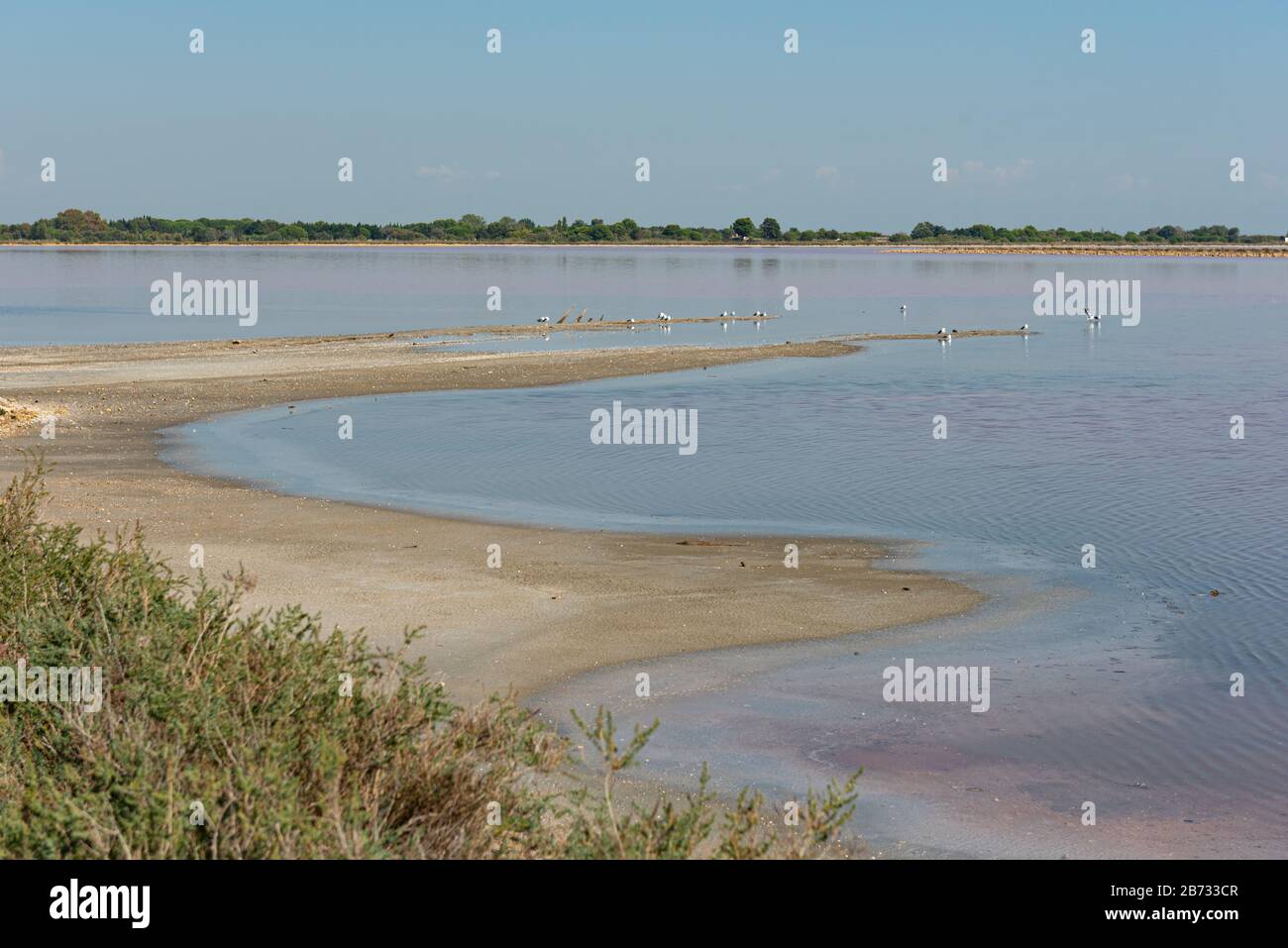 Camargue Salt Flats Hi res Stock Photography And Images Alamy camargue-salt-flats-hi-res-stock-photography-and-images-alamy