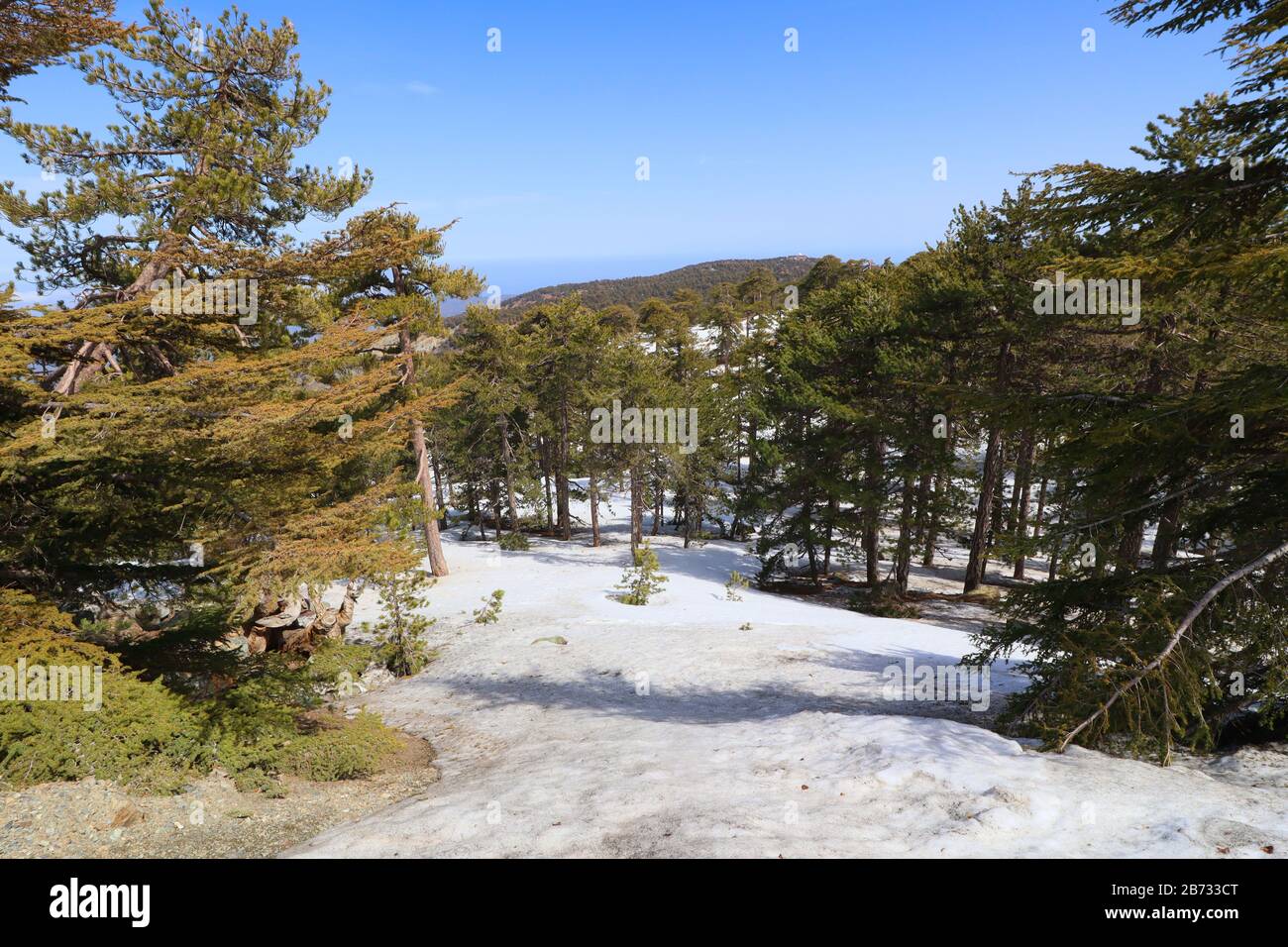 Snow in the troodos mountains hi-res stock photography and images - Alamy
