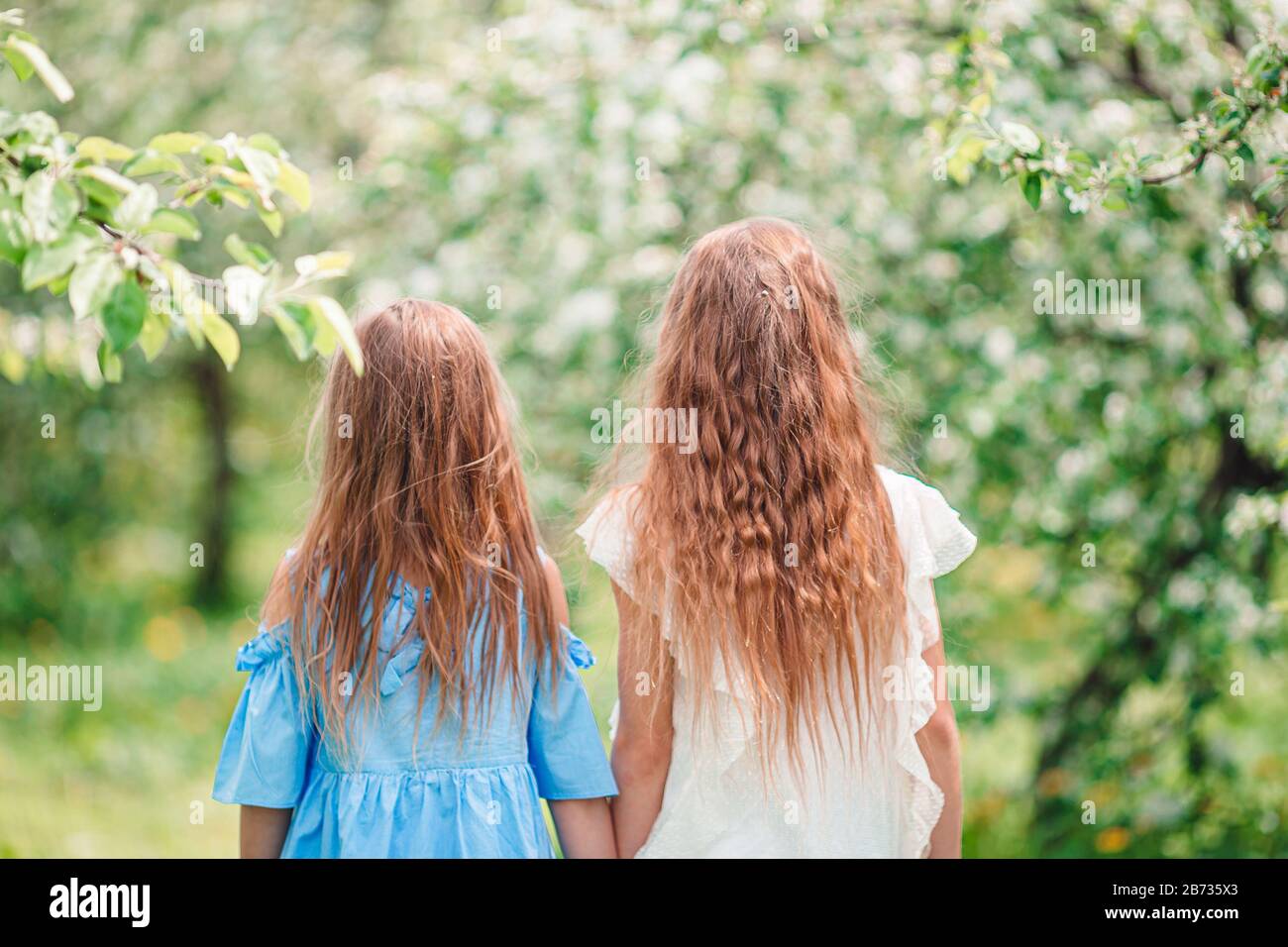 Adorable little girls in blooming apple tree garden on spring day Stock Photo - Alamy