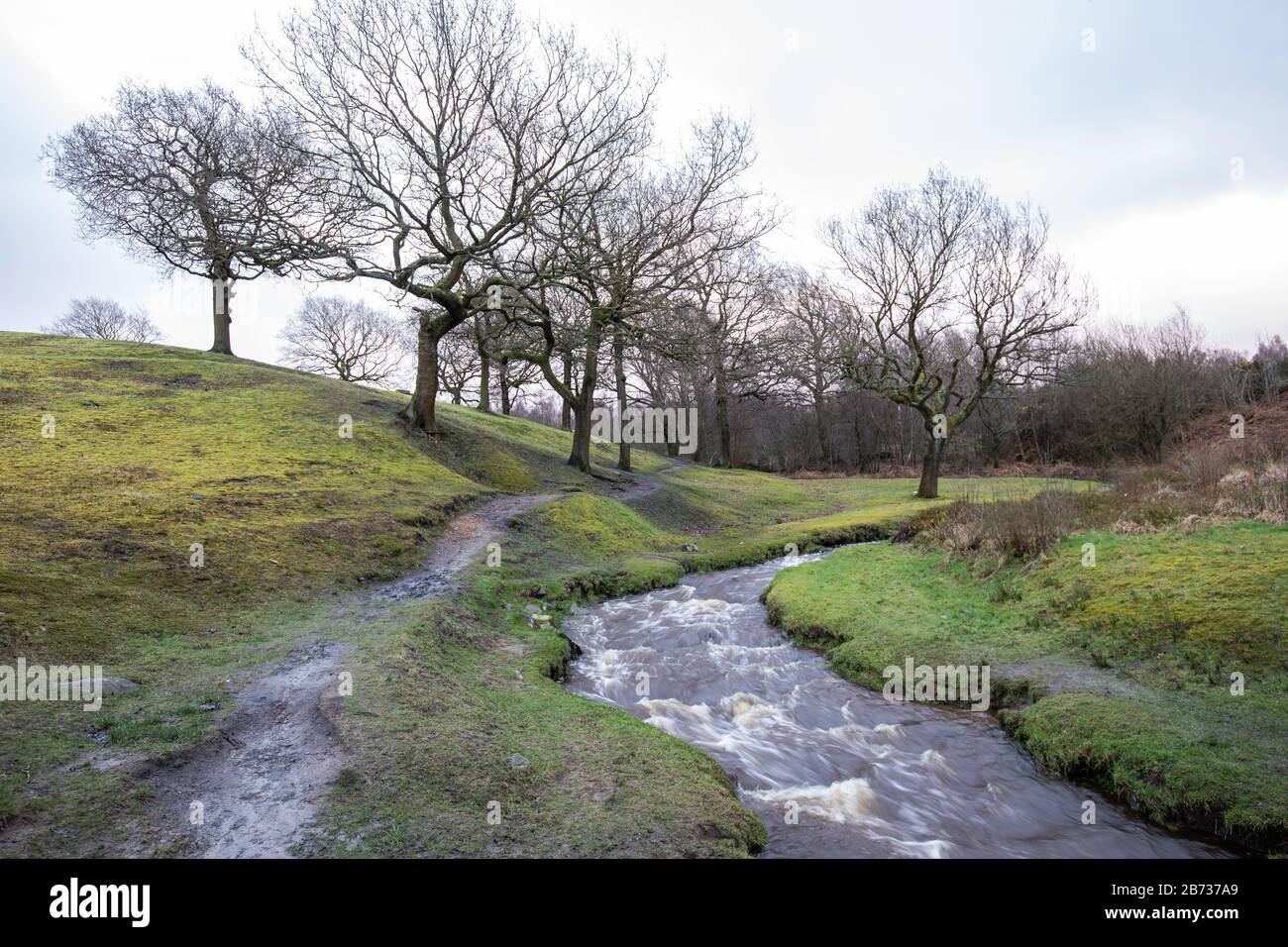 Antonine wall near bonnybridge hi-res stock photography and images - Alamy