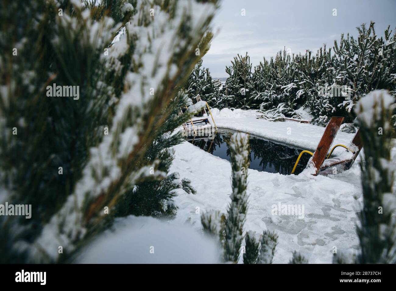 Epiphany russia bathing hi-res stock photography and images - Alamy