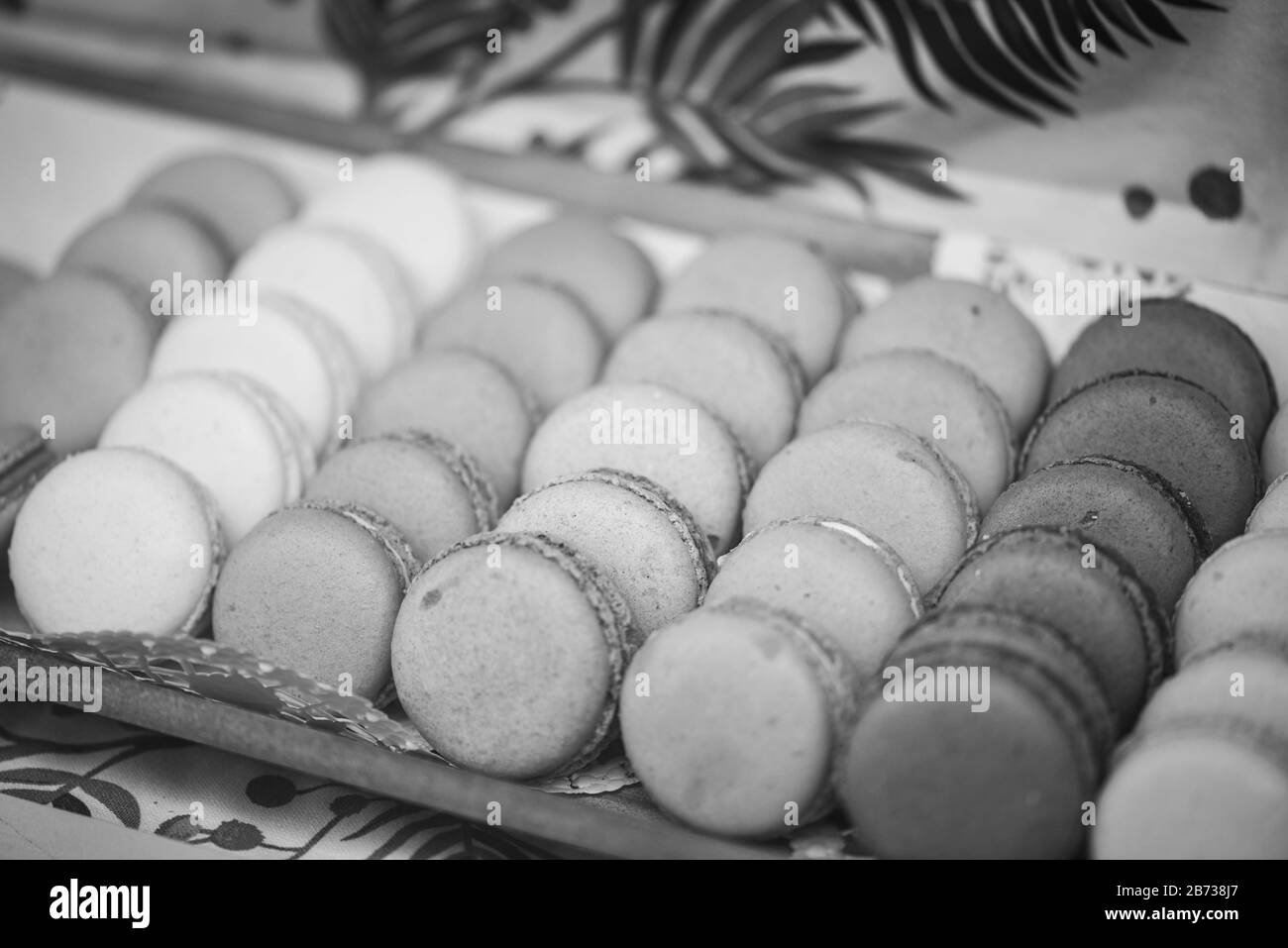 Colored mix Black and White Stock Photos & Images - Alamy