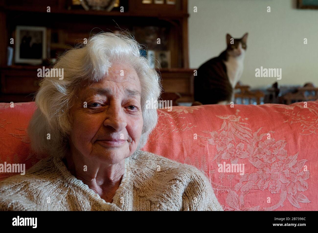 Old lady cat hi-res stock photography and images - Alamy