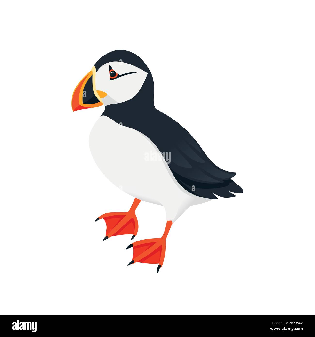 Atlantic puffin bird cartoon animal design flat vector illustration ...