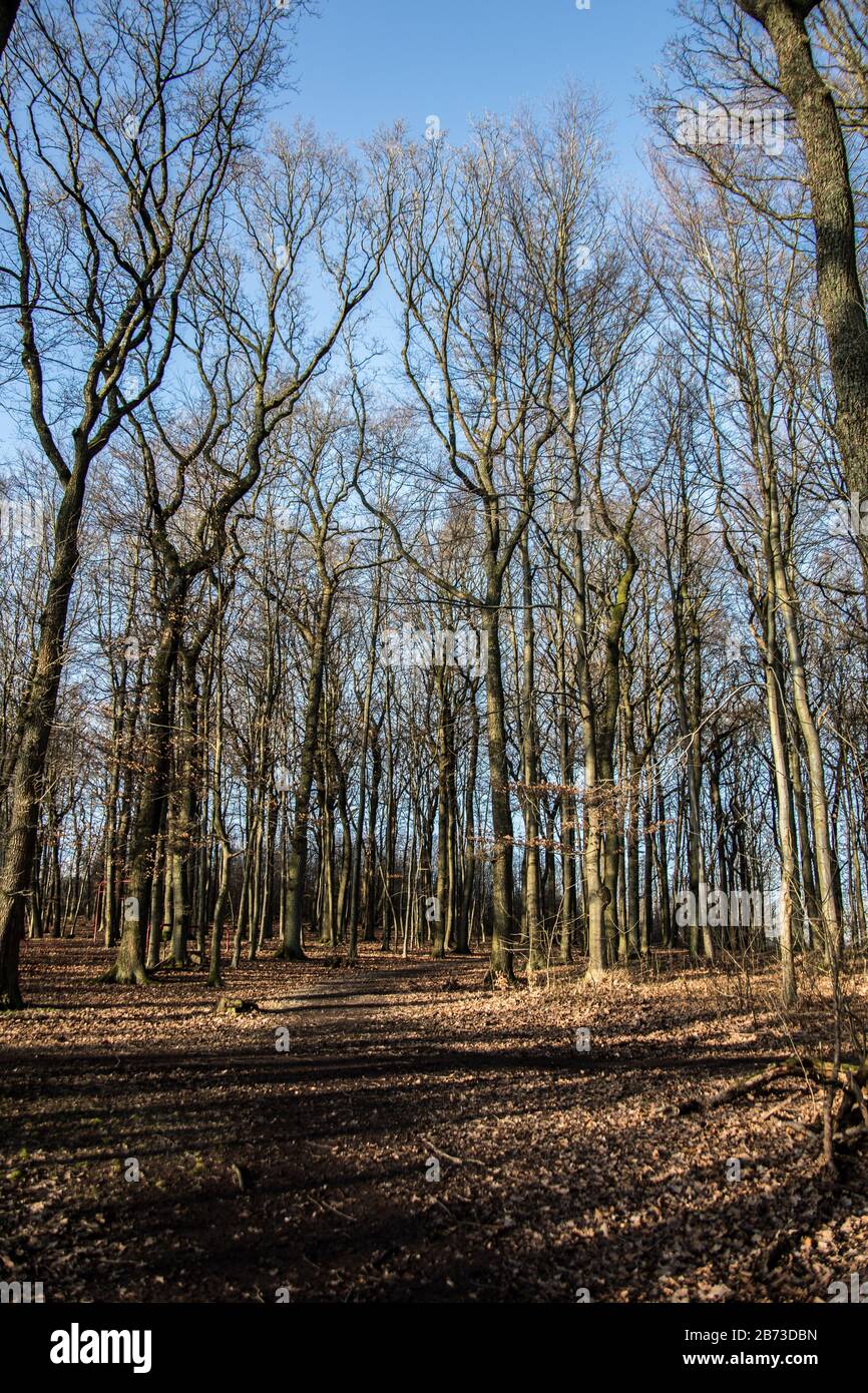 Wintry sun hi-res stock photography and images - Alamy