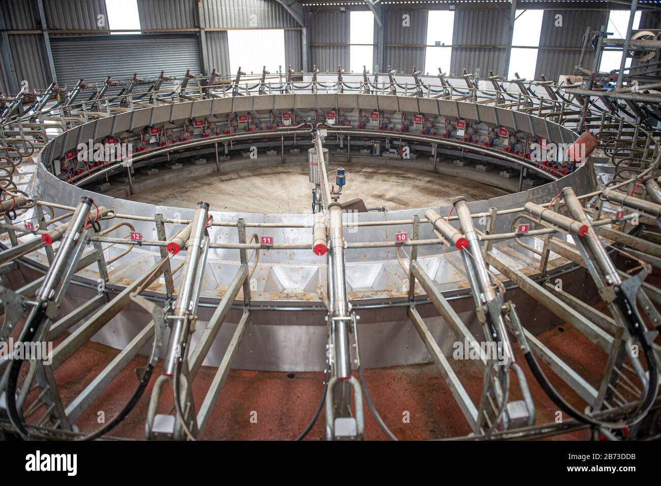 rotary milking parlour Stock Photo - Alamy