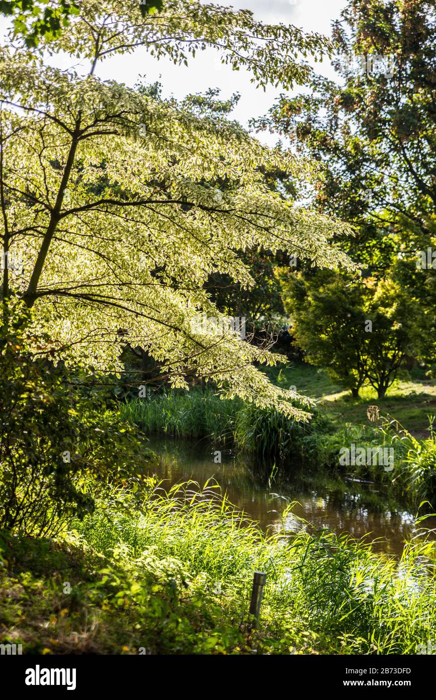 Westerpark, Amsterdam, Netherlands Stock Photo - Alamy