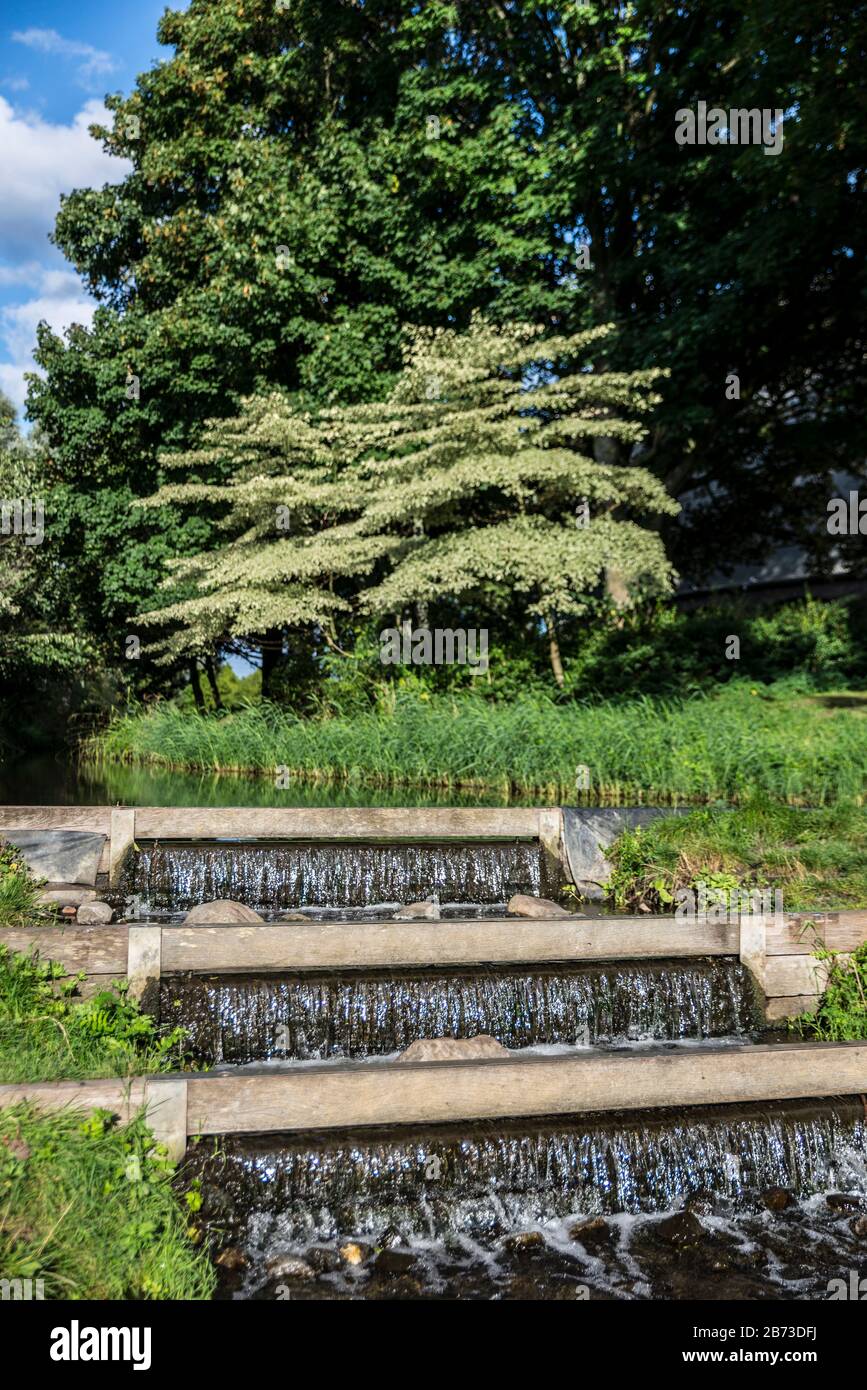Westerpark, Amsterdam, Netherlands Stock Photo - Alamy