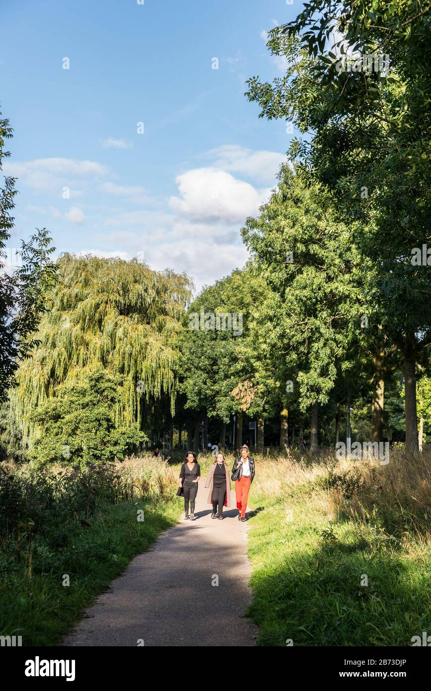 Westerpark, Amsterdam, Netherlands Stock Photo - Alamy